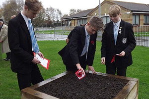 School Gallery - The Littlehampton Academy